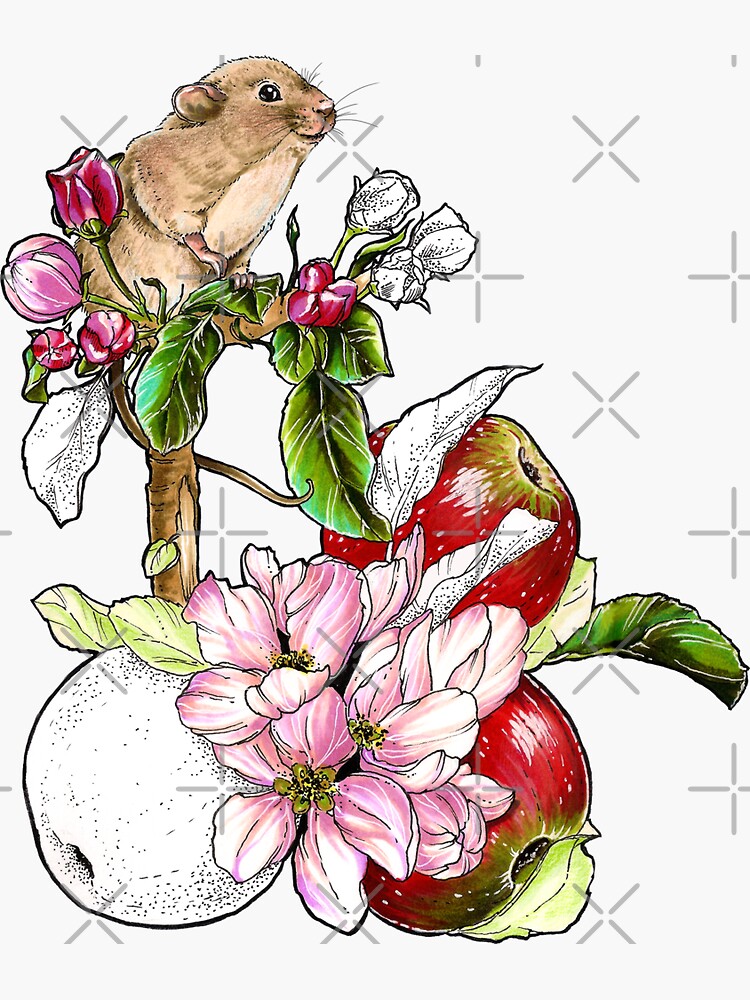 "Cute little mouse" Sticker for Sale by 4ert-a | Redbubble