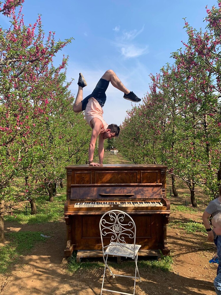 "Handstand on a piano in the Cherry Blossoms" Sticker for Sale by ...
