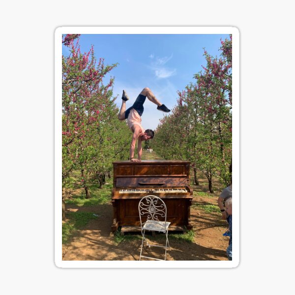 "Handstand on a piano in the Cherry Blossoms" Sticker for Sale by ...