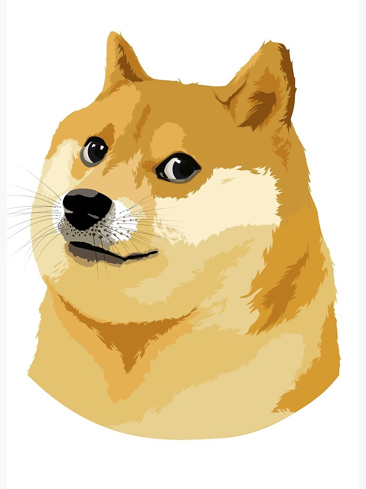 Shiba Meme
