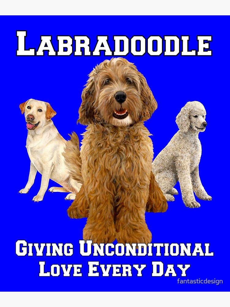 "Labradoodle Giving Unconditional Love Dog Pet Owner Design" Art Print ...