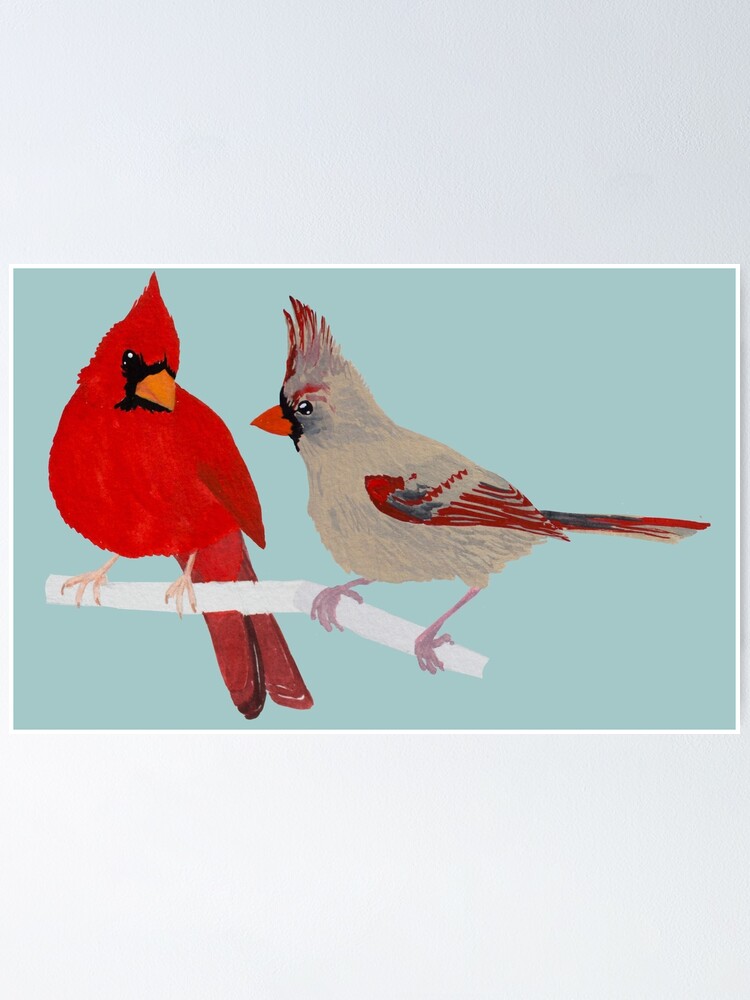"Northern Cardinal" Poster by LadyElizabeth | Redbubble