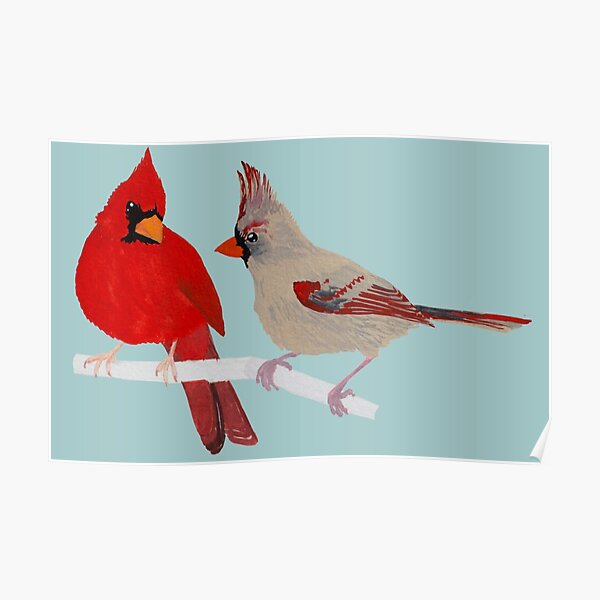 "Northern Cardinal" Poster by LadyElizabeth | Redbubble