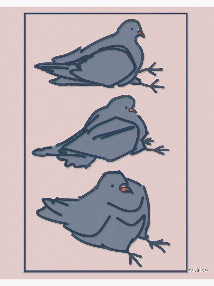 "pigeon sit" Sticker by swirlse | Redbubble