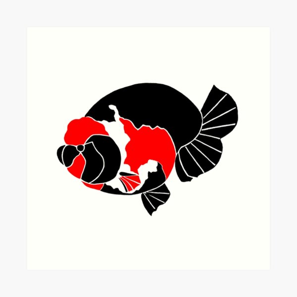 "Ranchu Tri Color Goldfish Logo" Art Print for Sale by Nosnah | Redbubble