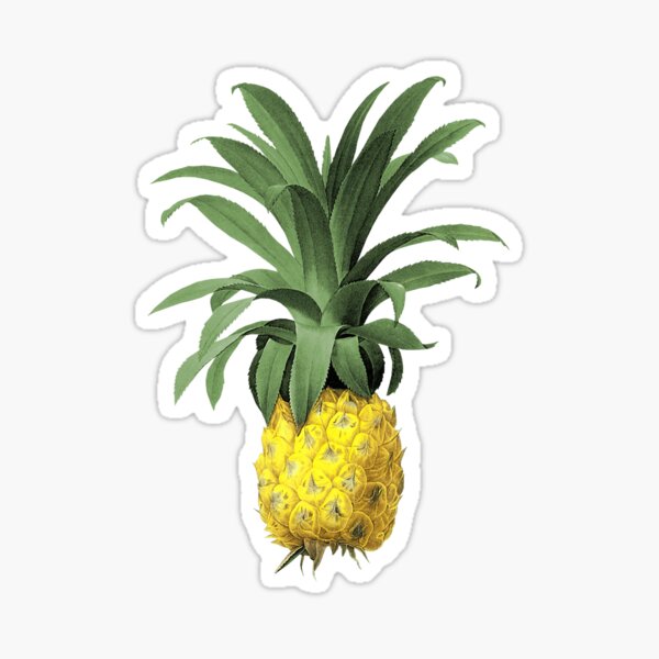 "Pineapple Juice " Sticker for Sale by YennyCamacho | Redbubble