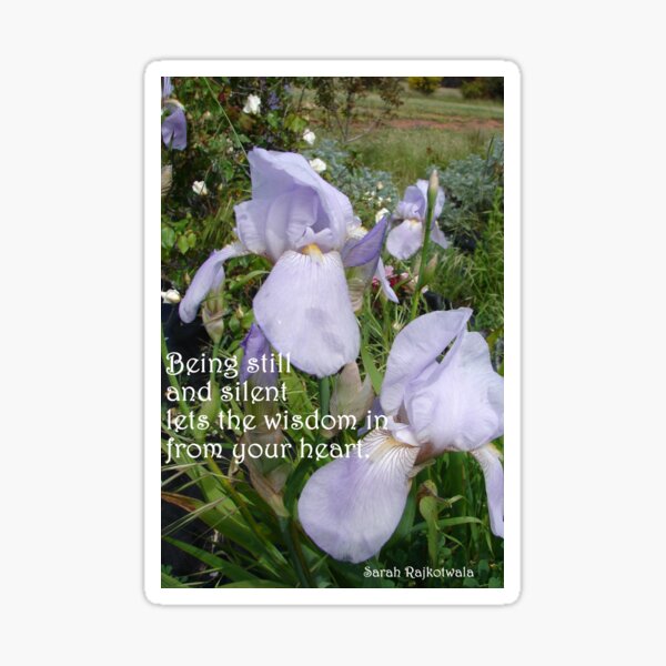 "Lavender Iris Flowers in the Garden, Being Still and Silent Lets in ...