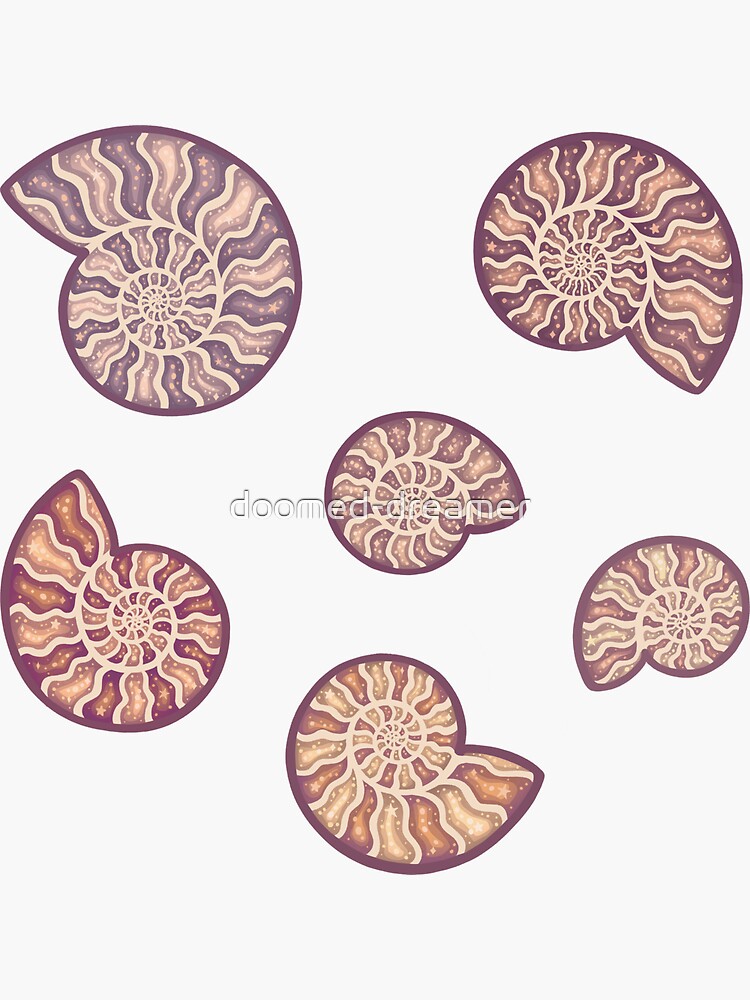 "Fossilized Ammonites" Sticker for Sale by doomed-dreamer | Redbubble
