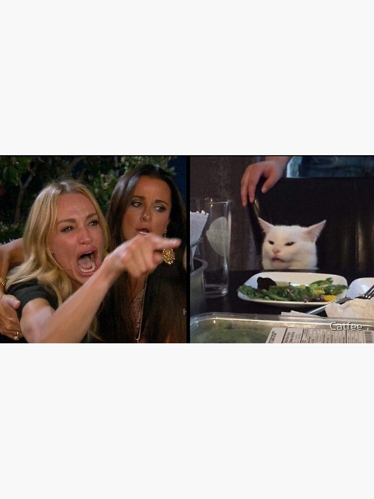 "woman yelling at cat meme" Art Print for Sale by Catfee | Redbubble