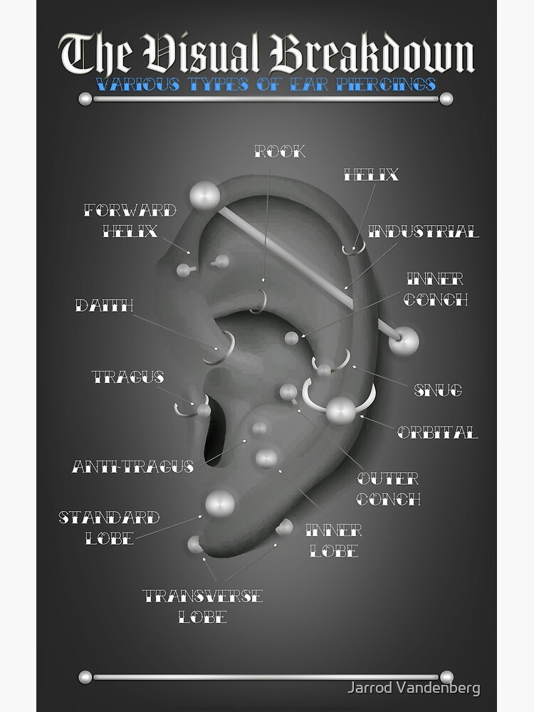 "Ear Piercing Infographic Chart, Black and Blue" Poster for Sale by ...