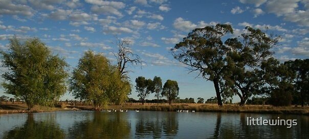 "Lockington, Rural Victoria" by littlewings | Redbubble