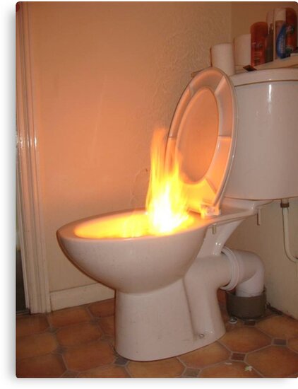 "Toilet fire" Canvas Prints by boozelightyear | Redbubble