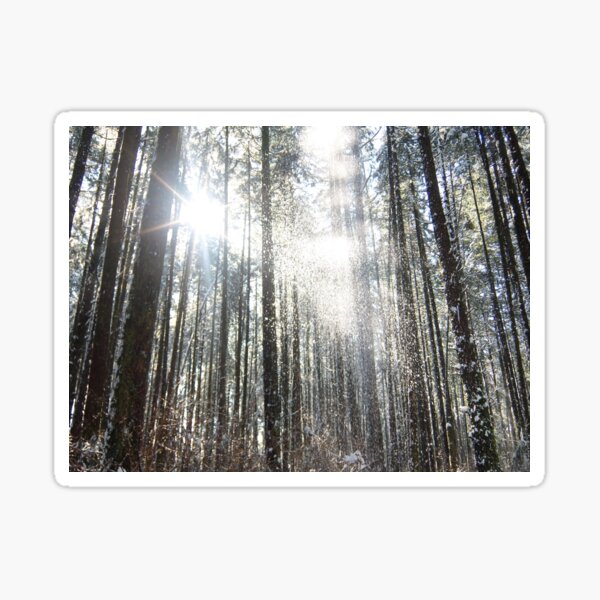 "Sparkling Falling Snow" Sticker for Sale by wanderingsal | Redbubble