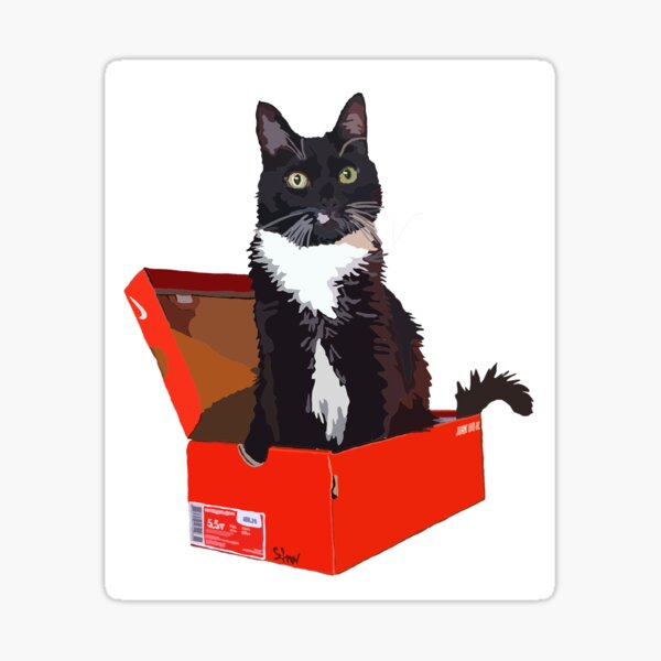 "Simba in the shoe box" Sticker for Sale by jungle4cats | Redbubble