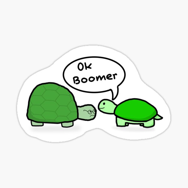 "Ok Boomer turtle" Sticker by keiraS-141 | Redbubble