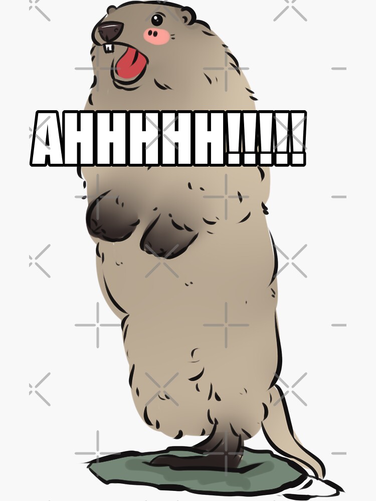 "The AHHHHH!!!!! Marmot" Sticker for Sale by pinkelephant94 | Redbubble
