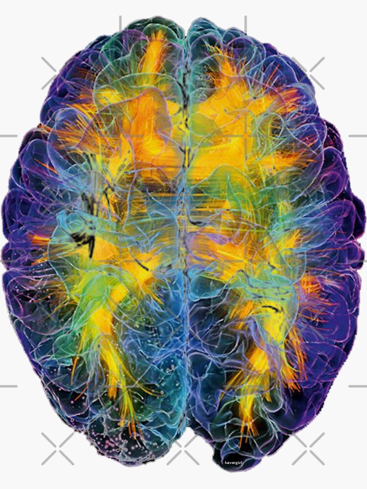 "Brain Power" Sticker for Sale by Havocgirl | Redbubble
