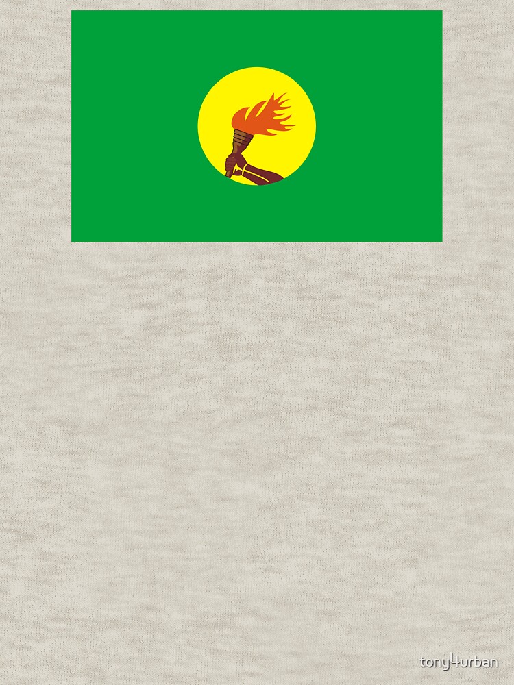 Zaire Flag