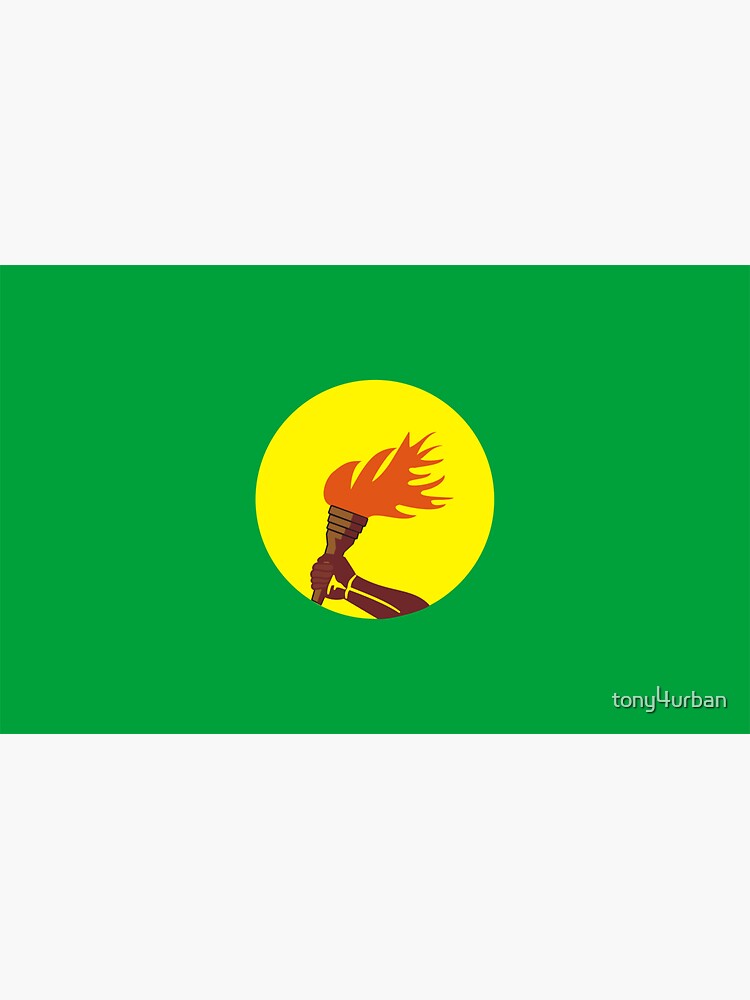 "flag of Zaire-Congo" Sticker by tony4urban | Redbubble