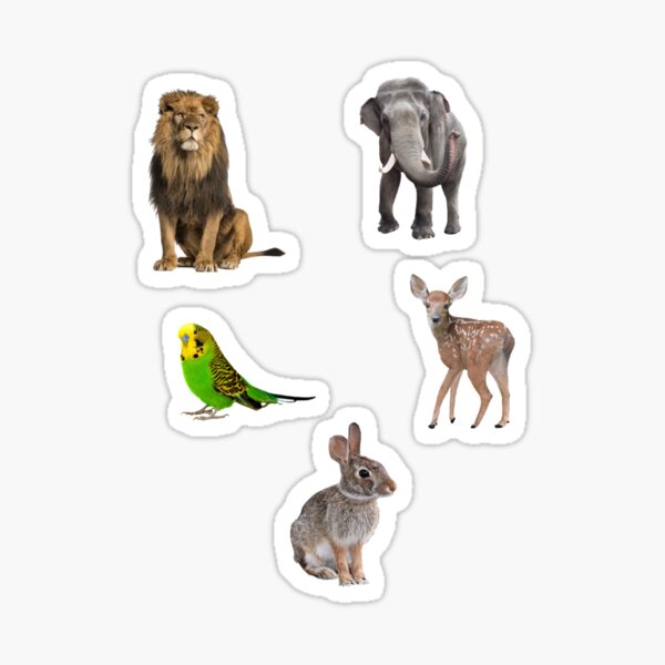 "Wild Animals Pack" Sticker by samanthabotello | Redbubble