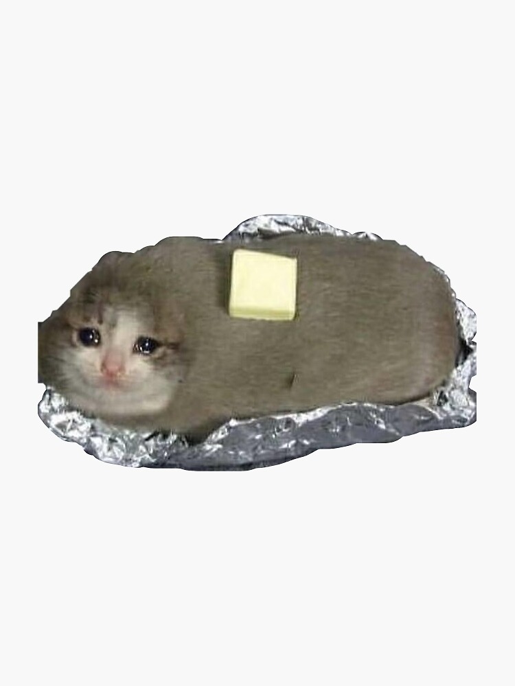 "catato" Sticker for Sale by kelseyberta | Redbubble