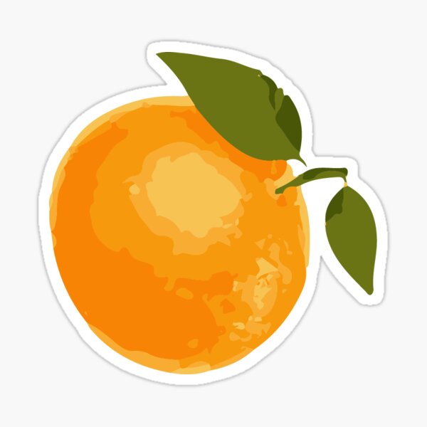 "Orange Tangerine Mandarine 3" Sticker for Sale by Martina-Ka | Redbubble
