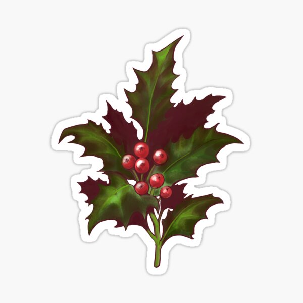 "Holly" Sticker by bendrawslife | Redbubble
