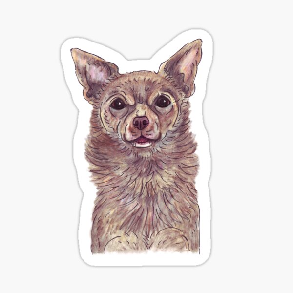 "CHIA doodle @chiathechihuahua" Sticker for Sale by BridgetDoodles ...