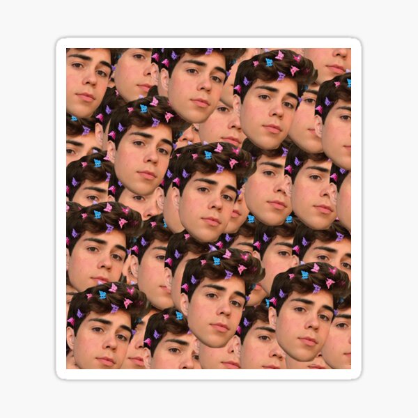 Benji Krol Stickers | Redbubble