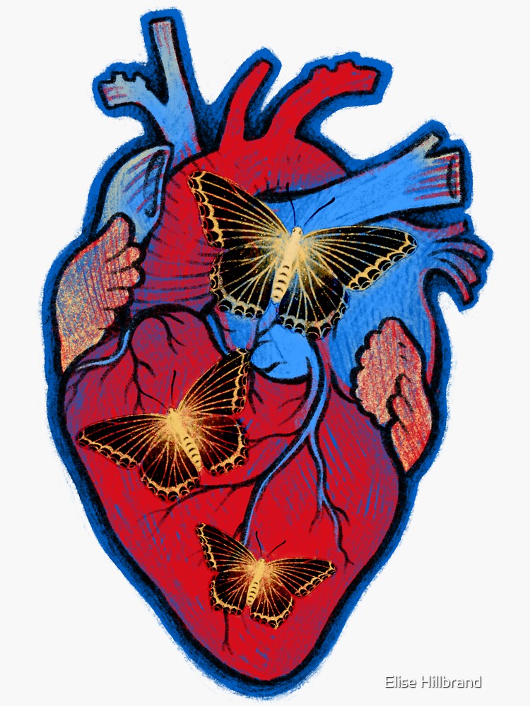 "Fluttering Heart" Sticker for Sale by elisehillbrand | Redbubble