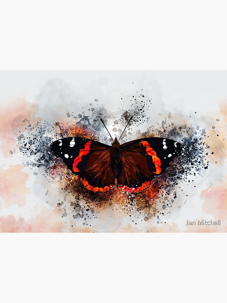 " Red Admiral Butterfly" Sticker for Sale by MitchellAK | Redbubble
