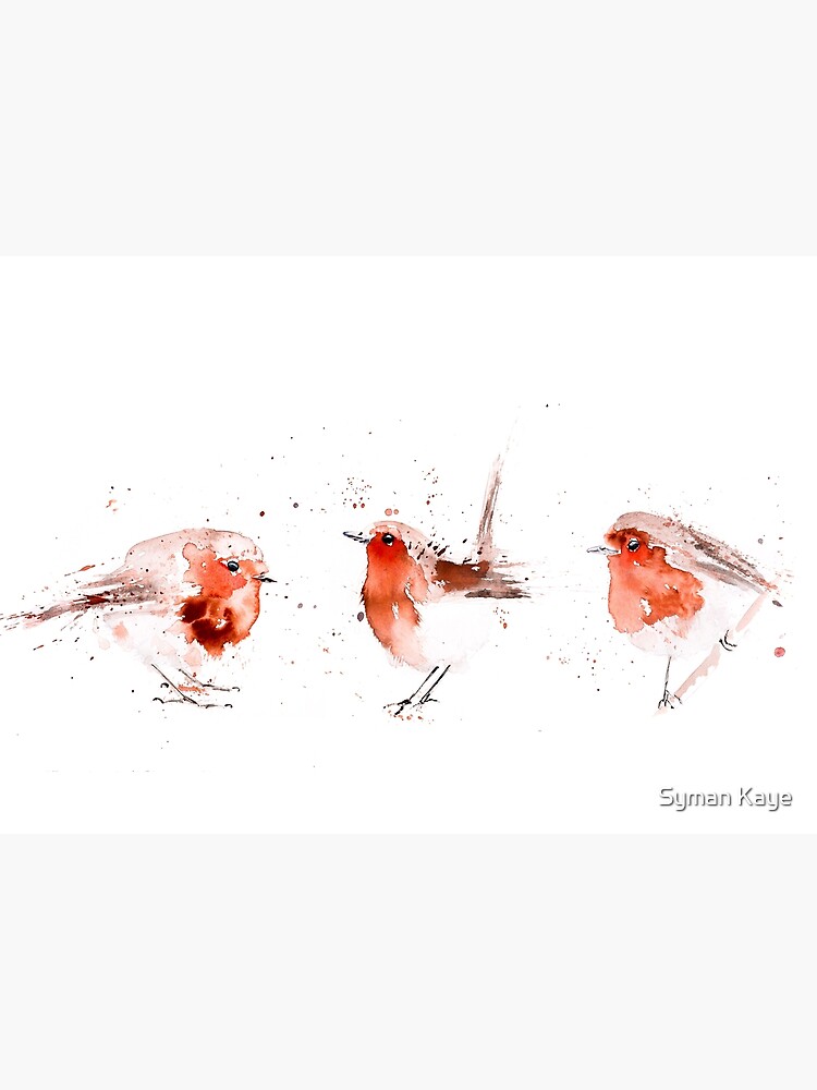 "3 Fat Robins Bird Painting Bird Watercolour Painting by Syman Kaye ...