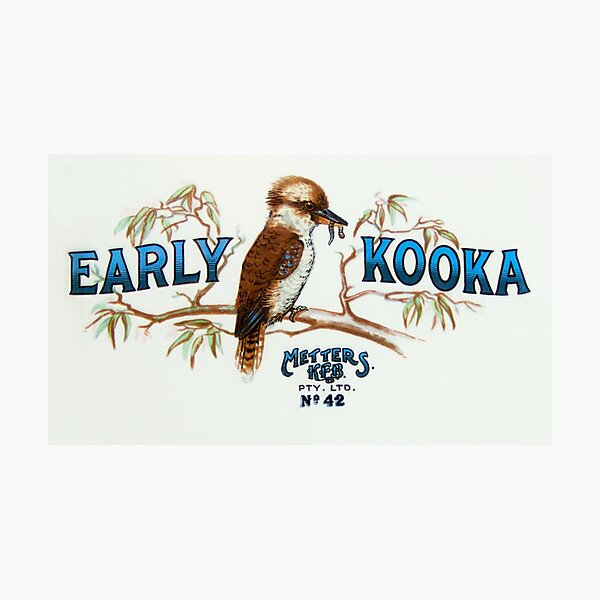 "Early Kooka Metters Stoves Australia" Photographic Print by Duncan-Mac ...