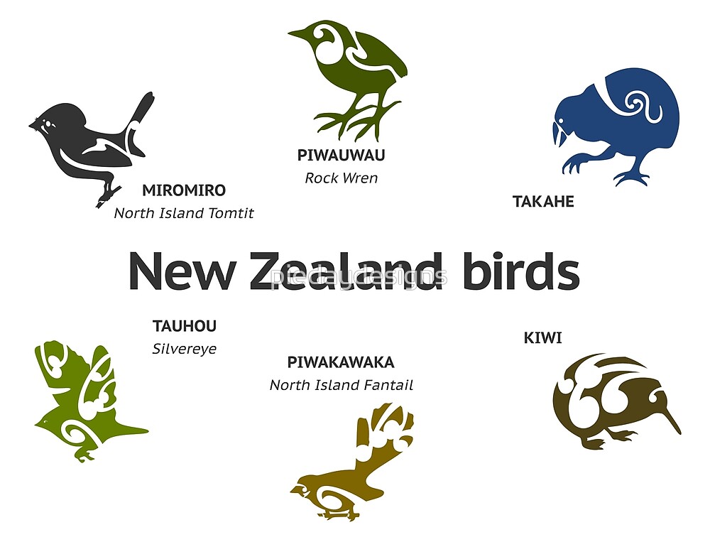 "New Zealand Birds" by piedaydesigns | Redbubble
