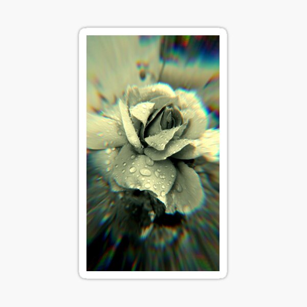 "Trippy Rose" Sticker for Sale by CJacobyPhotos | Redbubble
