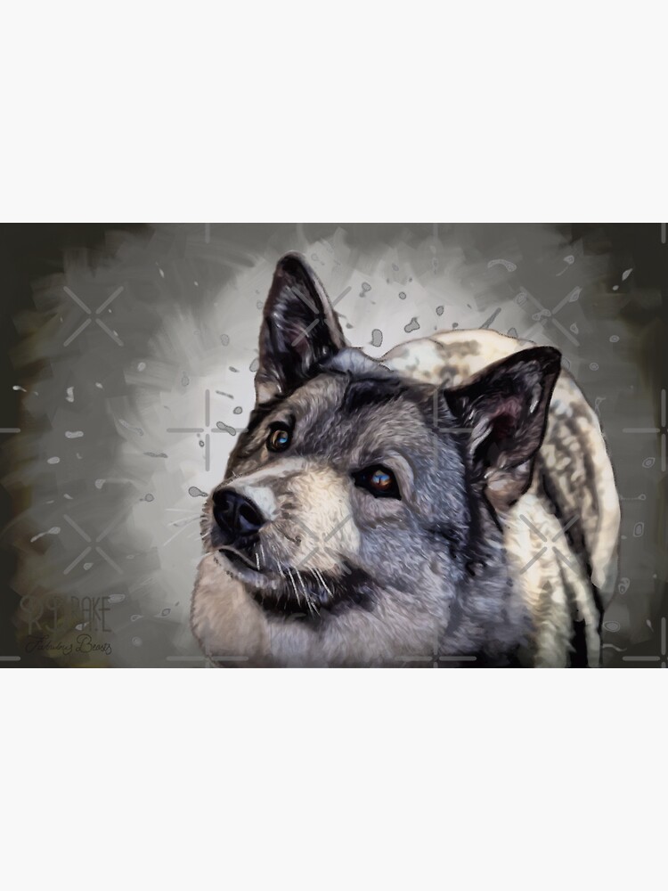 "Elkhound Portrait " Sticker for Sale by FabulousBeasts | Redbubble