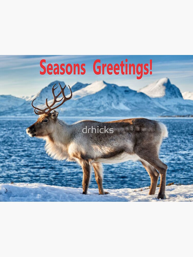 "Seasons Greetings Dear" Sticker for Sale by drhicks | Redbubble
