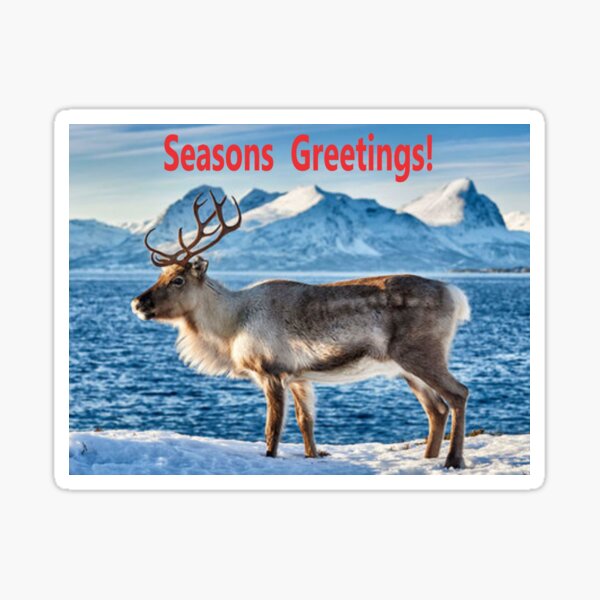 "Seasons Greetings Dear" Sticker for Sale by drhicks | Redbubble