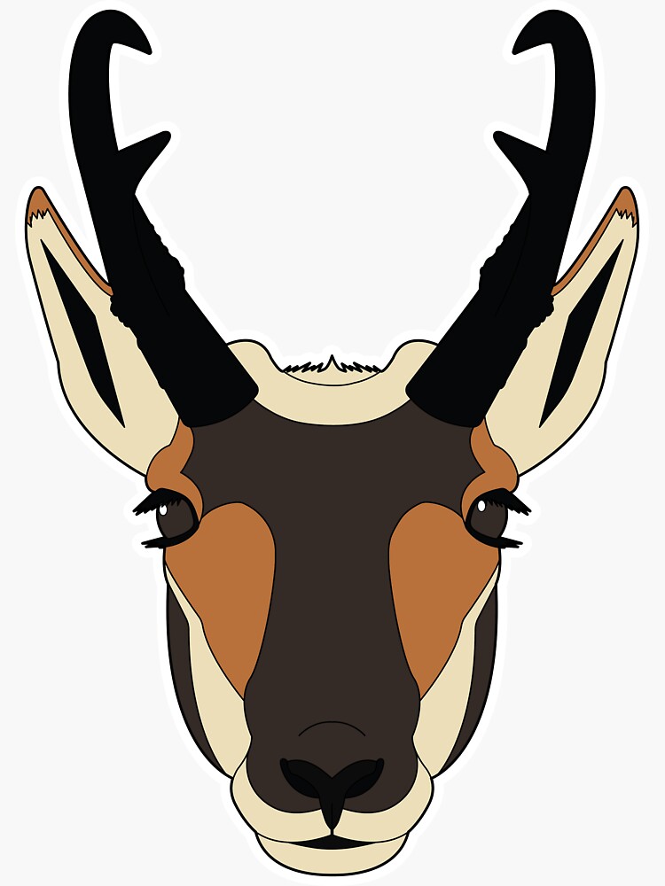 "Pronghorn" Sticker for Sale by ProcyonidaeCrea | Redbubble