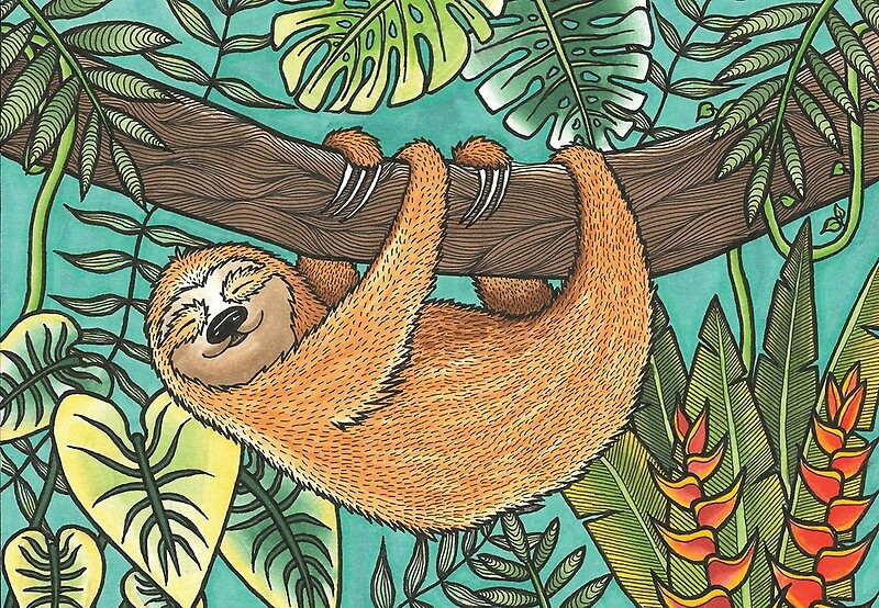 "Smiley Sloth" by Ashley Gelhaus | Redbubble