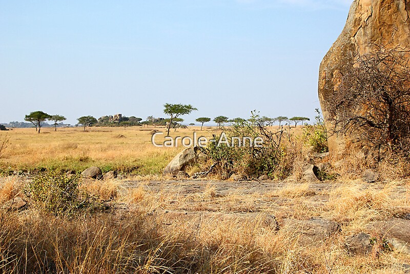 "Rock Formations, Kopjes in Serengeti National Park, Tanzania" by ...