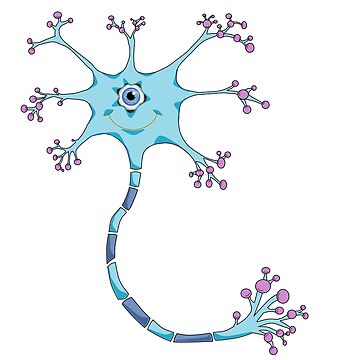 "Happy Neuron" Poster for Sale by zenferren | Redbubble