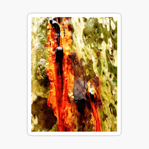 "Australian Tree Bark Series #17" Sticker for Sale by Moments-In-Time ...