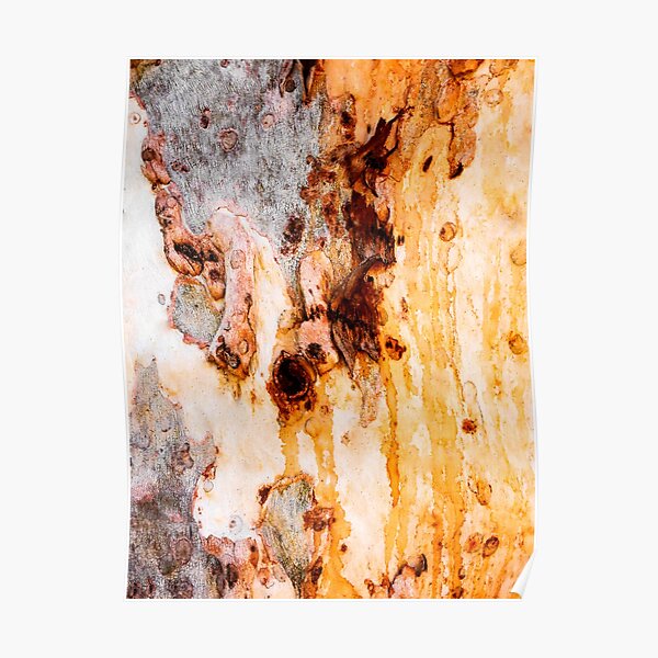 "Australian Tree Bark Series #34" Poster by Moments-In-Time | Redbubble