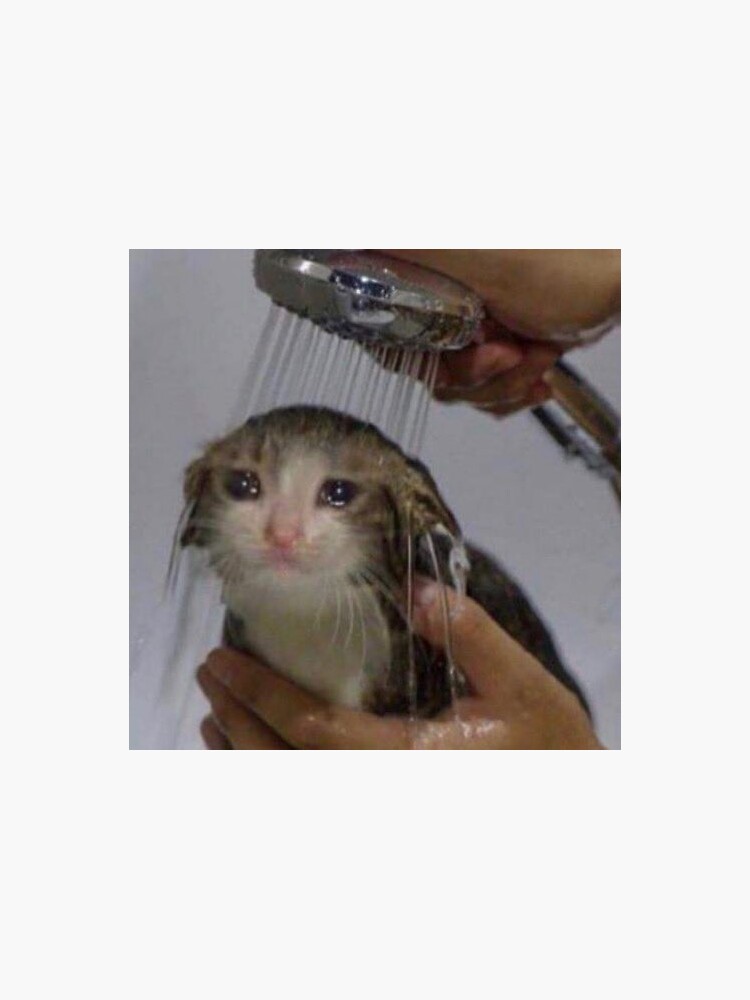 "Sad cat" Sticker for Sale by Alltimehow | Redbubble