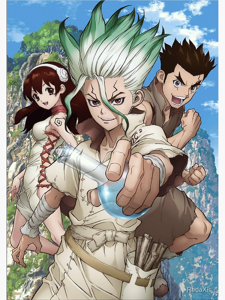 Lámina fotográfica «Dr Stone Senku Taiju Yuzuriha» de RedaXis | Redbubble