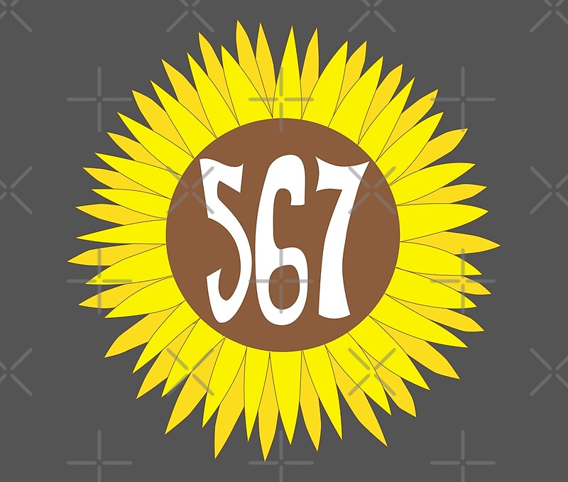 "Hand Drawn Ohio Sunflower 567 Area Code" by itsrturn | Redbubble