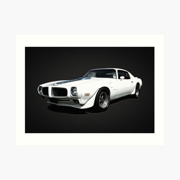 "Pontiac Trans Am" Art Print for Sale by Nigel Bangert | Redbubble