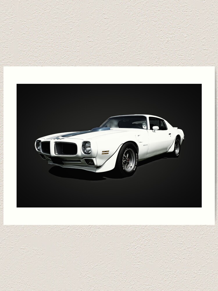 "Pontiac Trans Am" Art Print for Sale by Nigel Bangert | Redbubble