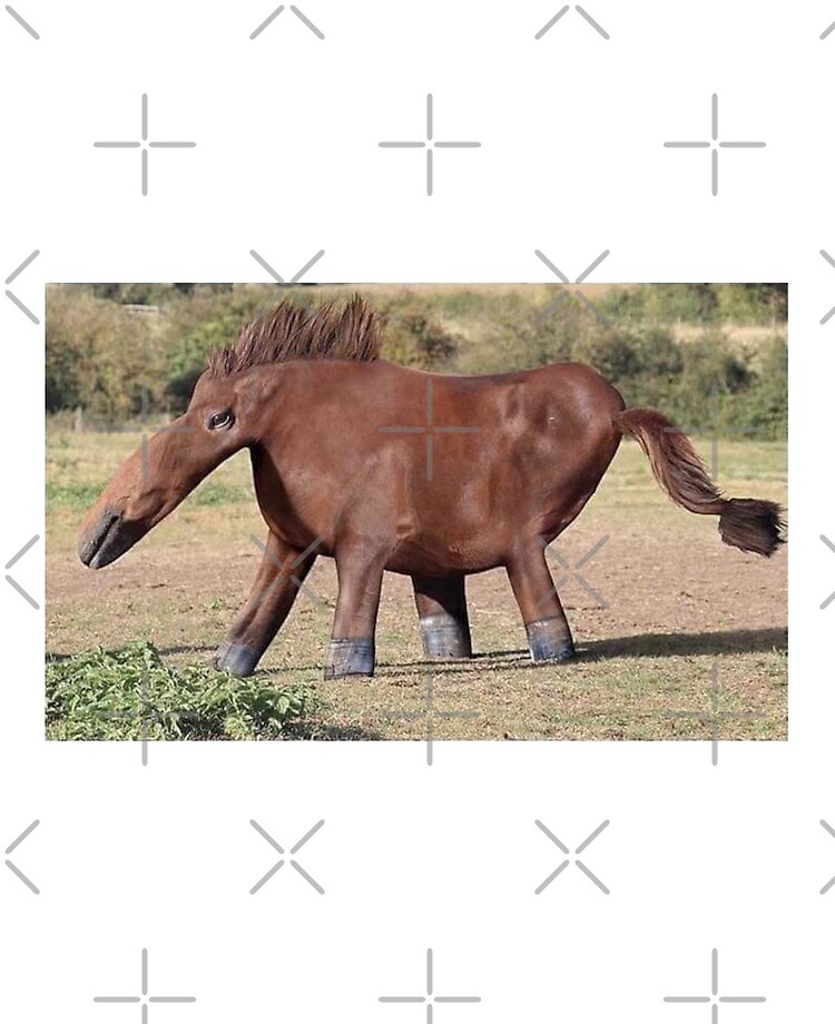 "Warped horse meme" iPad Case & Skin for Sale by HangLooseDraft | Redbubble